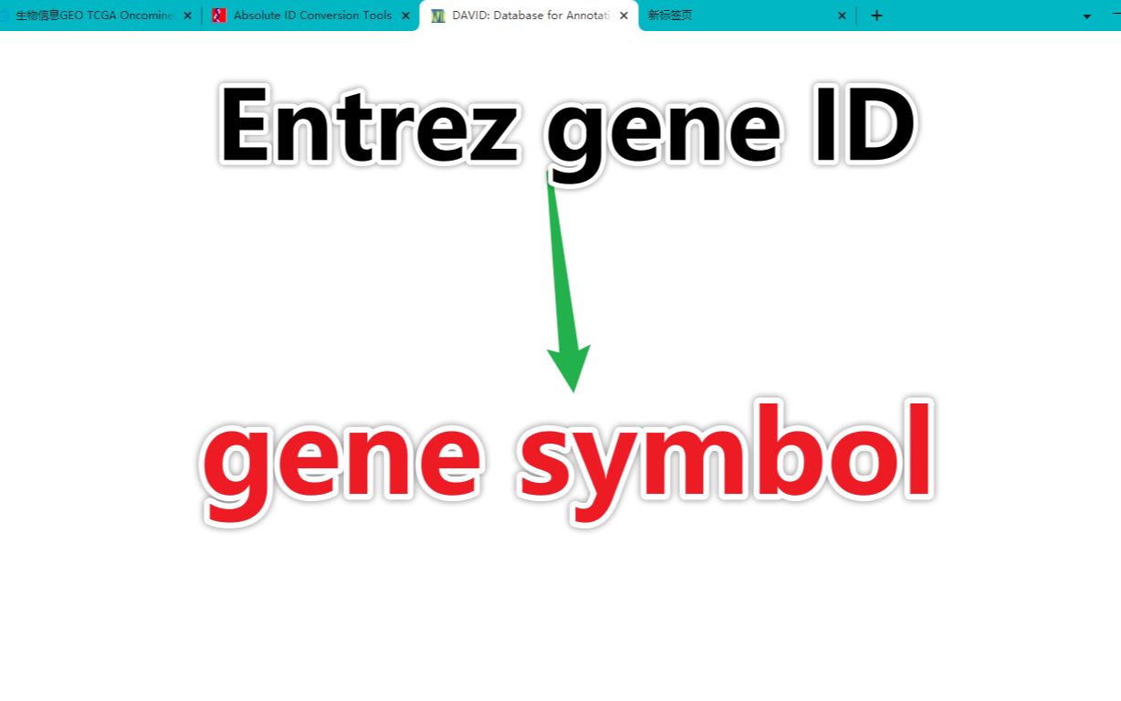 TCGA系列4--TCGA id转换，lncRNA矩阵提取（python编程），GENCODE注释文件数据库简介