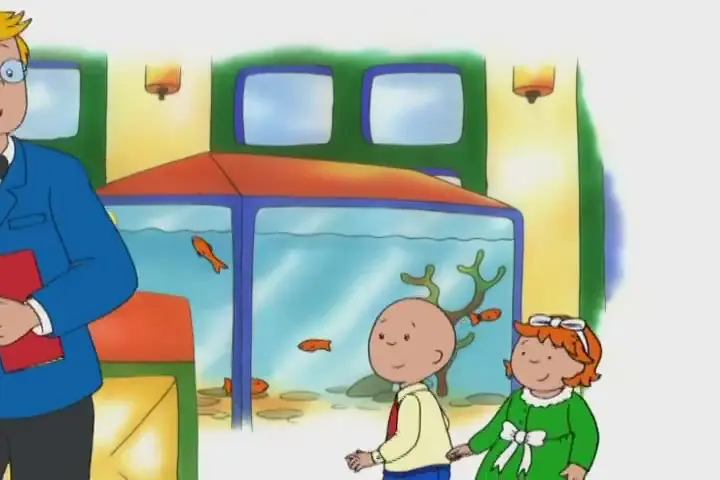 Caillou Le Mystere De La Saint Valentin Cheap Sale | emergencydentistry.com