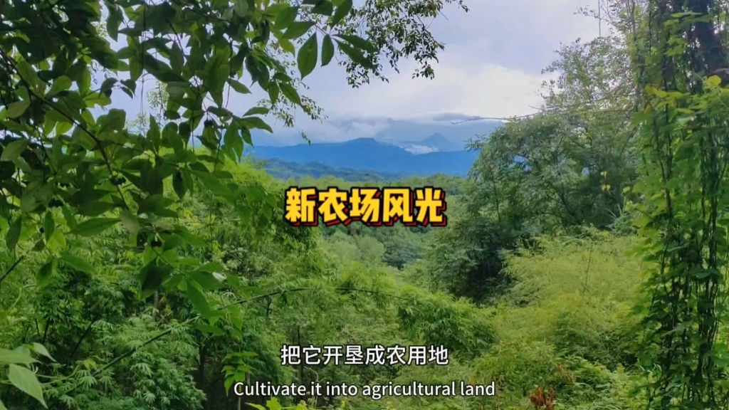 新农场风光无限好-向前农场日记-向前农场日记-哔哩哔哩视频