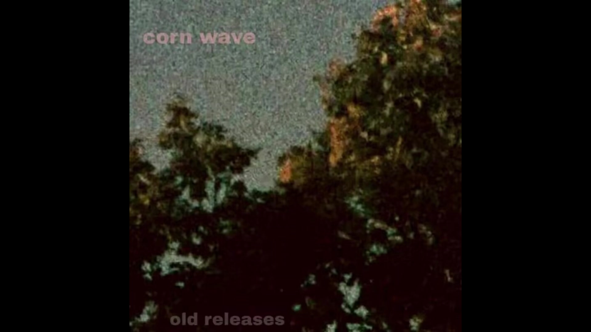 每天认识一支后朋克乐队：Corn Wave-桃海西-全体欣赏音乐-哔哩哔哩视频