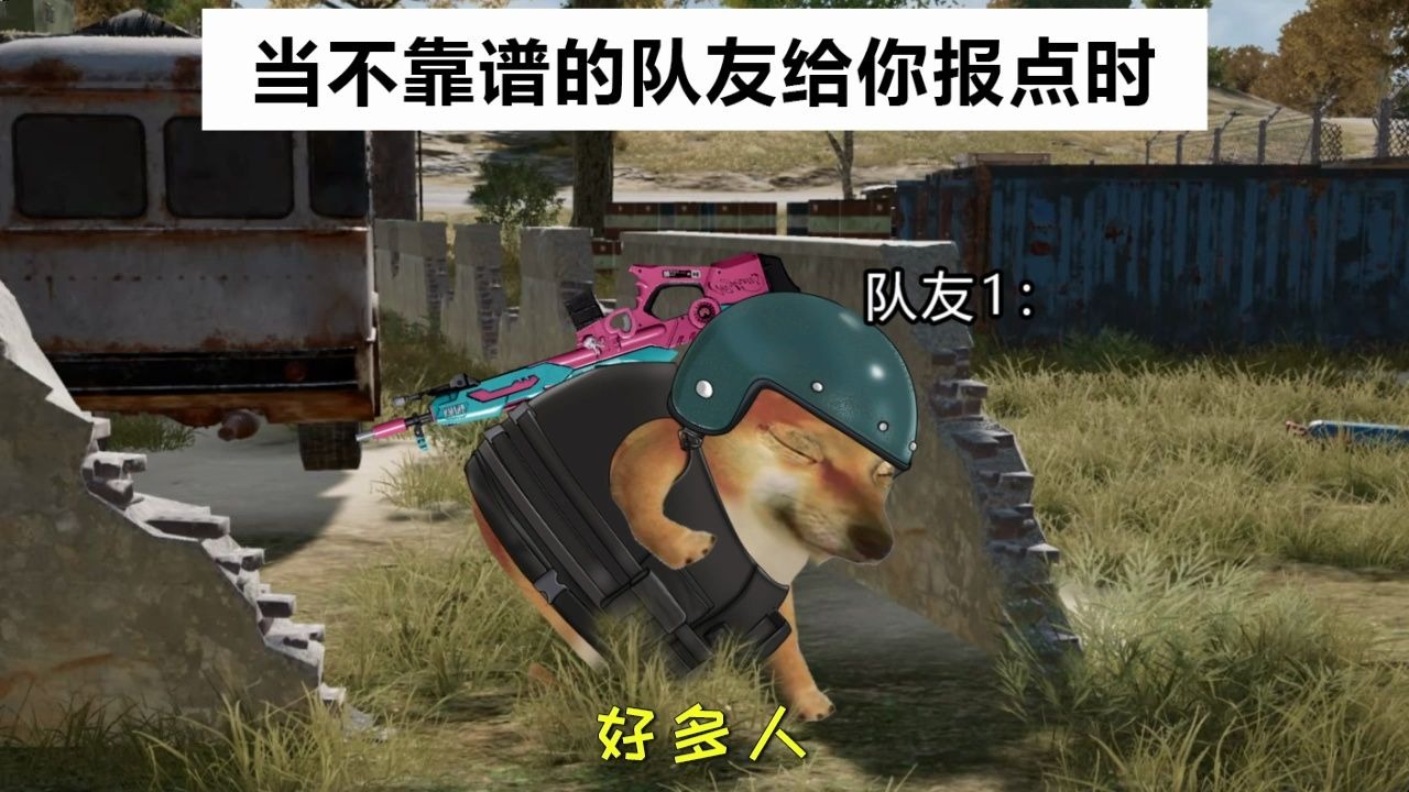 当队友给你报点时-Cheems降临-Cheems降临-哔哩哔哩视频
