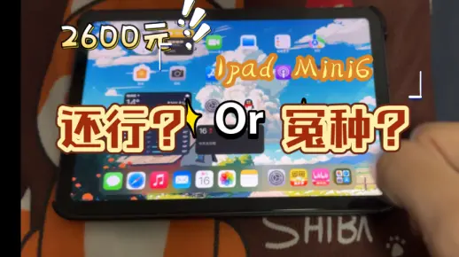 四九年入国军？冤种？2024年2600元买ipadmini6_哔哩哔哩_bilibili