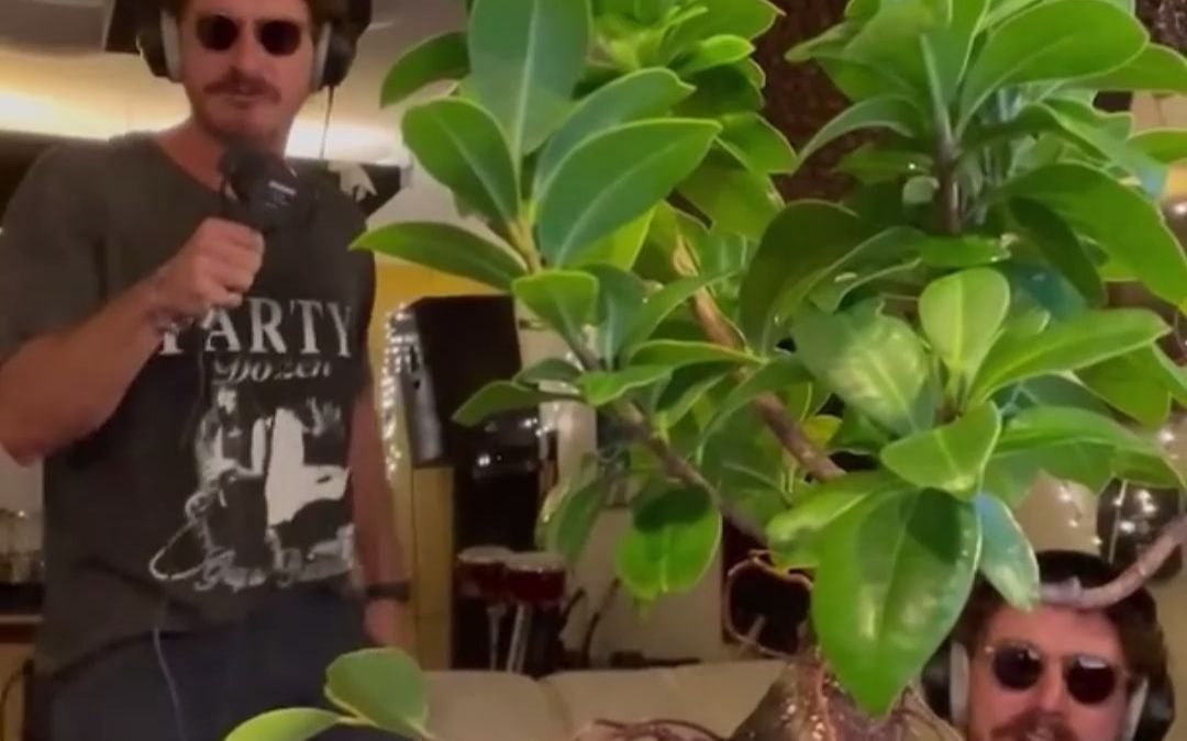 Tom Cardy - Aerial Roots【双语字幕】_哔哩哔哩_bilibili