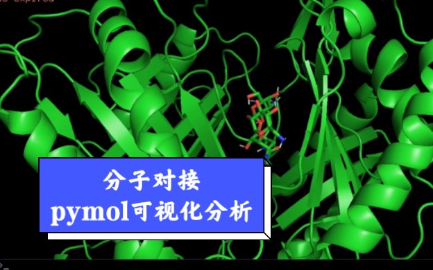 分子对接-问题答疑(2)/ PyMol可视化分析_哔哩哔哩_bilibili