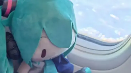 本视频所有收益都将捐赠给我的fufu买吃的_哔哩哔哩_bilibili