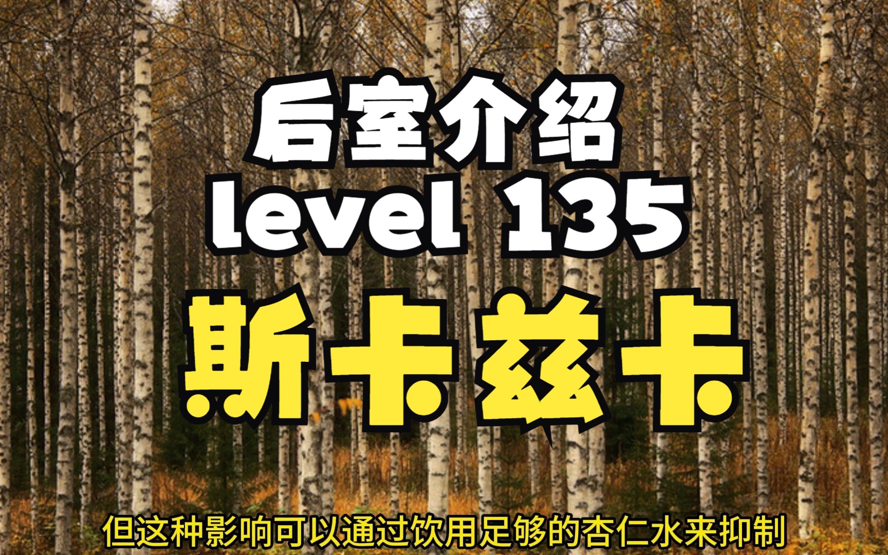 【Backrooms 后室】level 135 斯卡兹卡【介绍】-月半墙_-月半墙_-哔哩哔哩视频