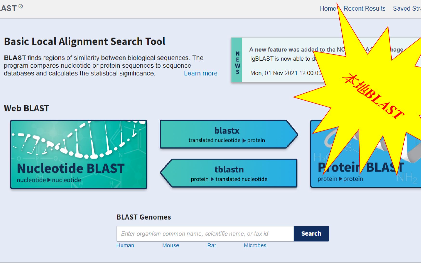 BLAST的安装与使用_哔哩哔哩_bilibili