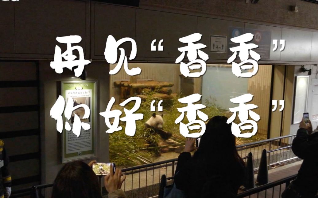 再见“香香”，你好“香香”-iPanda熊猫频道-iPanda熊猫频道-哔哩哔哩视频