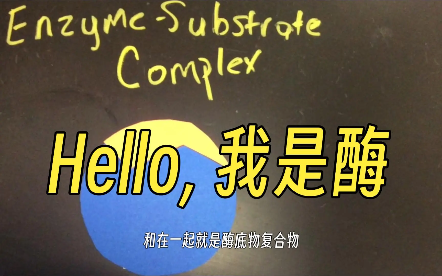 【生命科学歌曲】我是酶(中英字幕)，Hello-tribute to Adele_哔哩哔哩_bilibili
