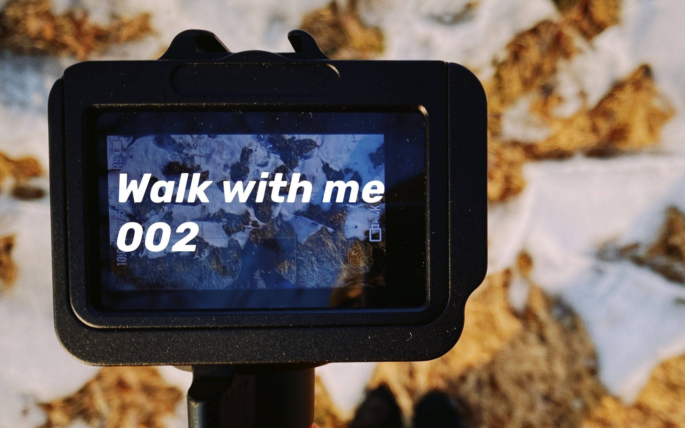 Walk with me 002_哔哩哔哩_bilibili