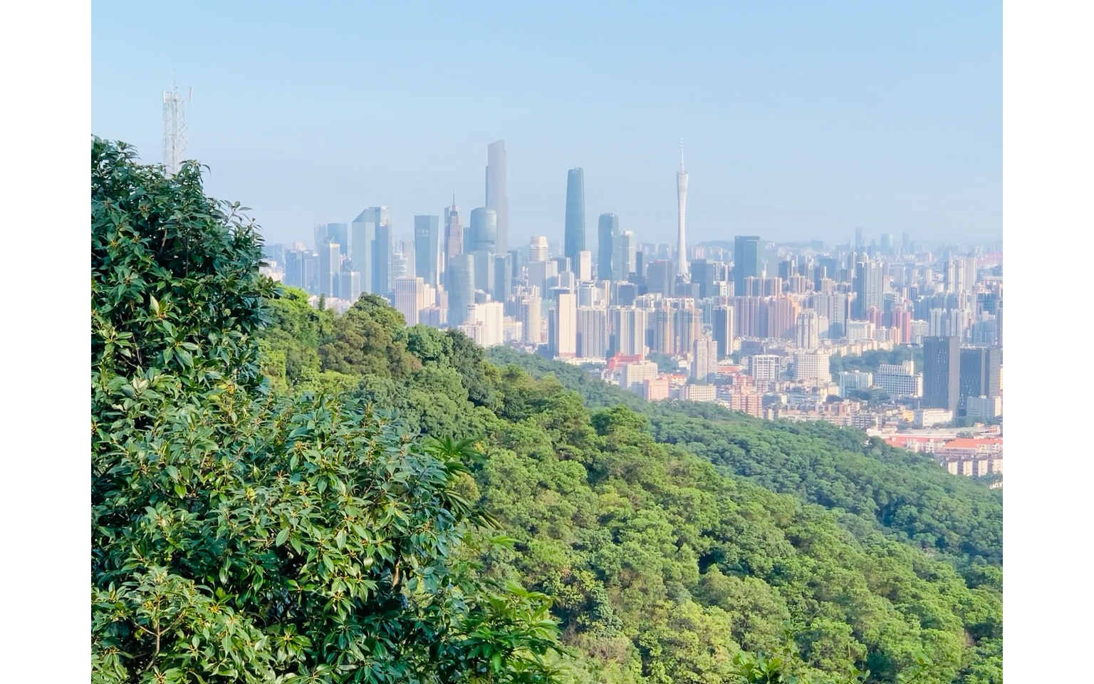 canton_哔哩哔哩_bilibili