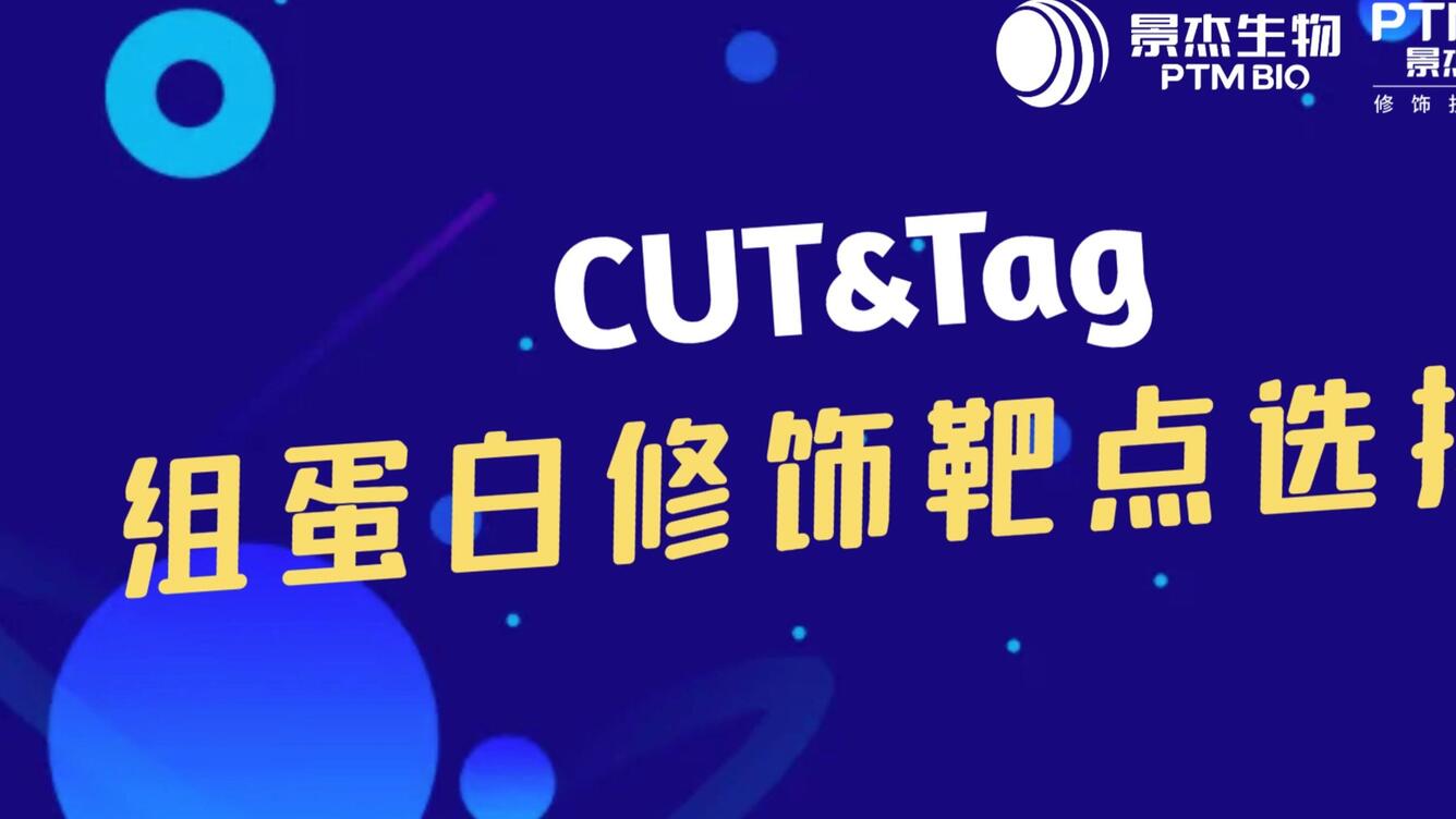 5 CUTTag结果验证qPCR引物设计_哔哩哔哩_bilibili