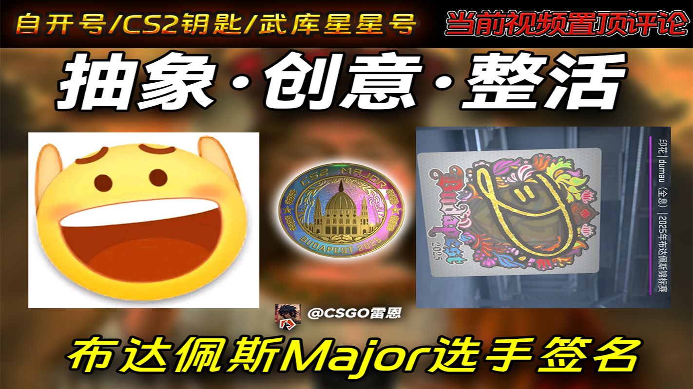 【CS2贴纸】布达佩斯Major选手签名整活！最有创意的一次贴纸-CSGO雷恩-CSGO雷恩-哔哩哔哩视频