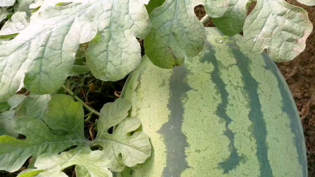 jjhhhh_哔哩哔哩_bilibili