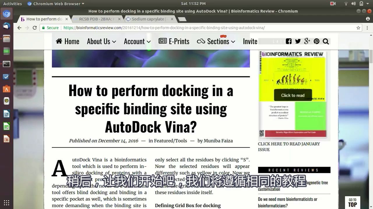 利用蛋白受体的活性残基设定分子对接中grid box的大小（autodock、autodock vina适用）_哔哩哔哩_bilibili