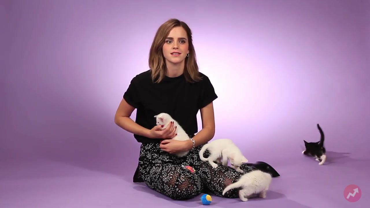 Emma Watson Kitten Interview_哔哩哔哩 (゜-゜)つロ 干杯~-bilibili