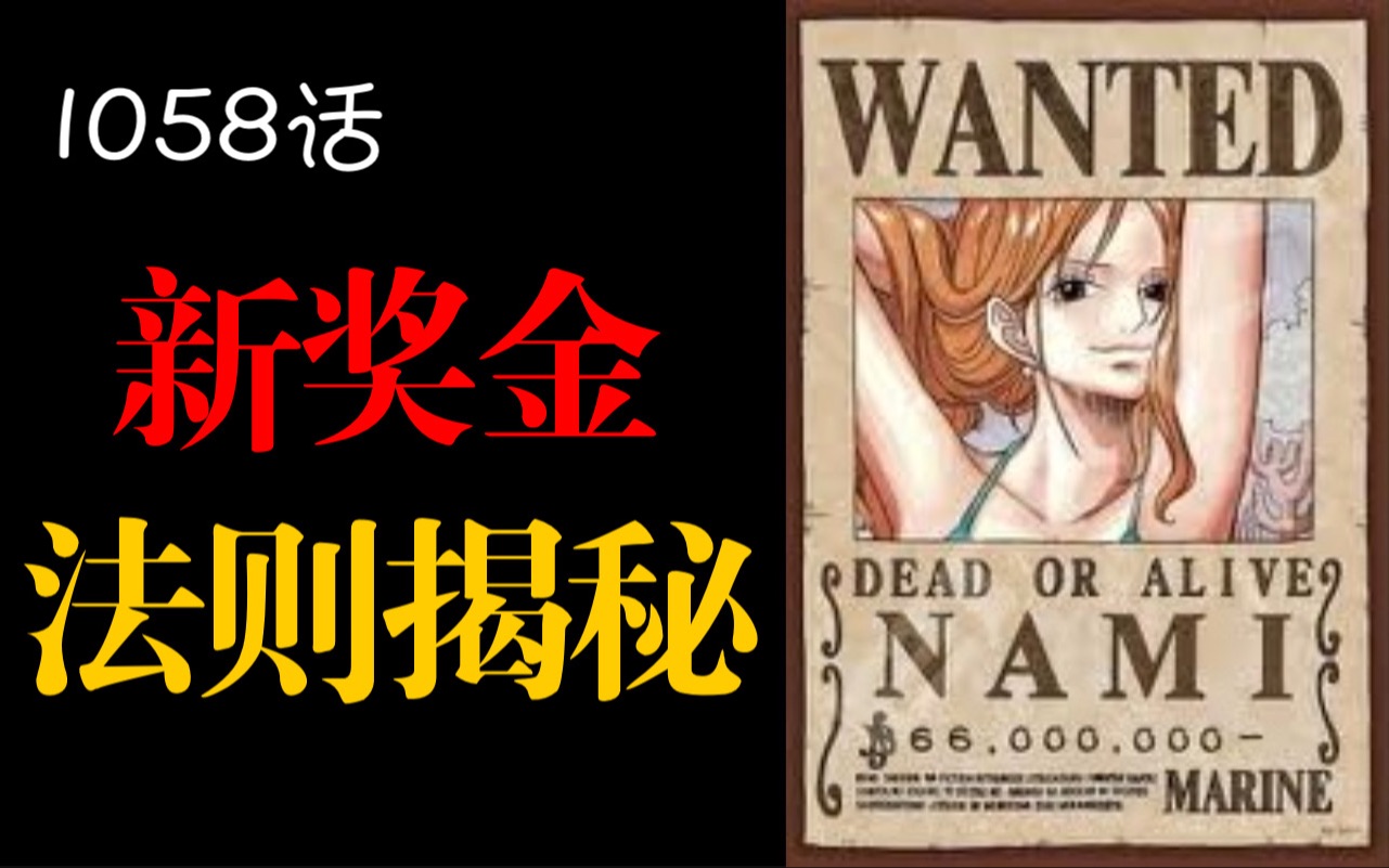 【海贼1058】娜美的身世暴露了！？新奖金谐音法则和暗示！！_哔哩哔哩_bilibili