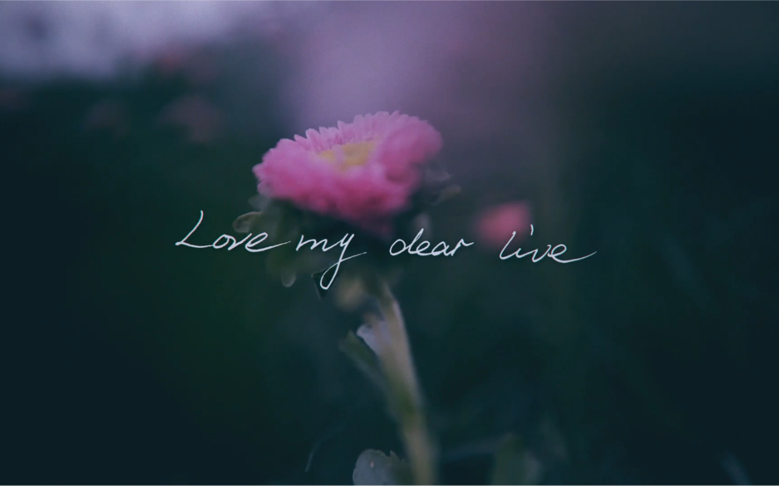 【音乐时间】郁可唯“2021 Dear Live Tour”来了！-郁可唯Yisa-郁可唯Yisa-哔哩哔哩视频