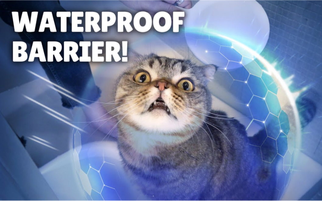 【Kittisaurus】防水屏障！_哔哩哔哩_bilibili