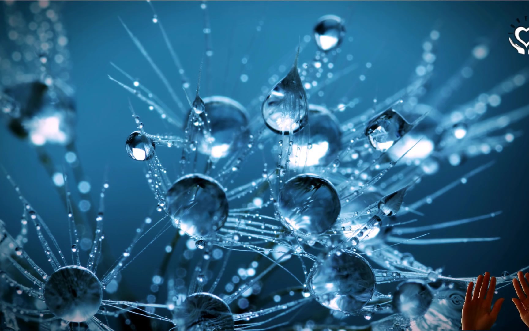 Reiki to Charge Water Energizing Drinking Water_哔哩哔哩_bilibili