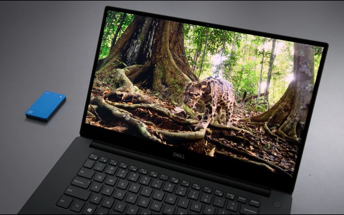 【双语】【Dave 2D】戴尔XPS15真的适合你吗？_哔哩哔哩 (゜-゜)つロ 干杯~-bilibili