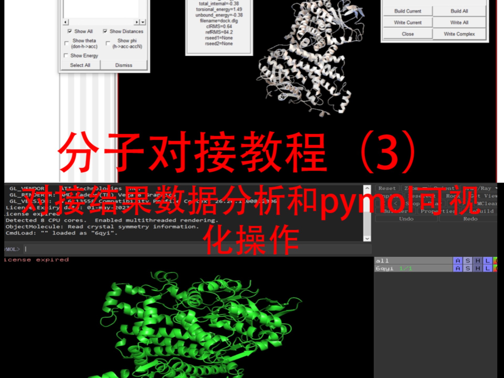 PyMol可视化和autodock对接结果分析-生信加网药工作室-生信加网药工作室-哔哩哔哩视频