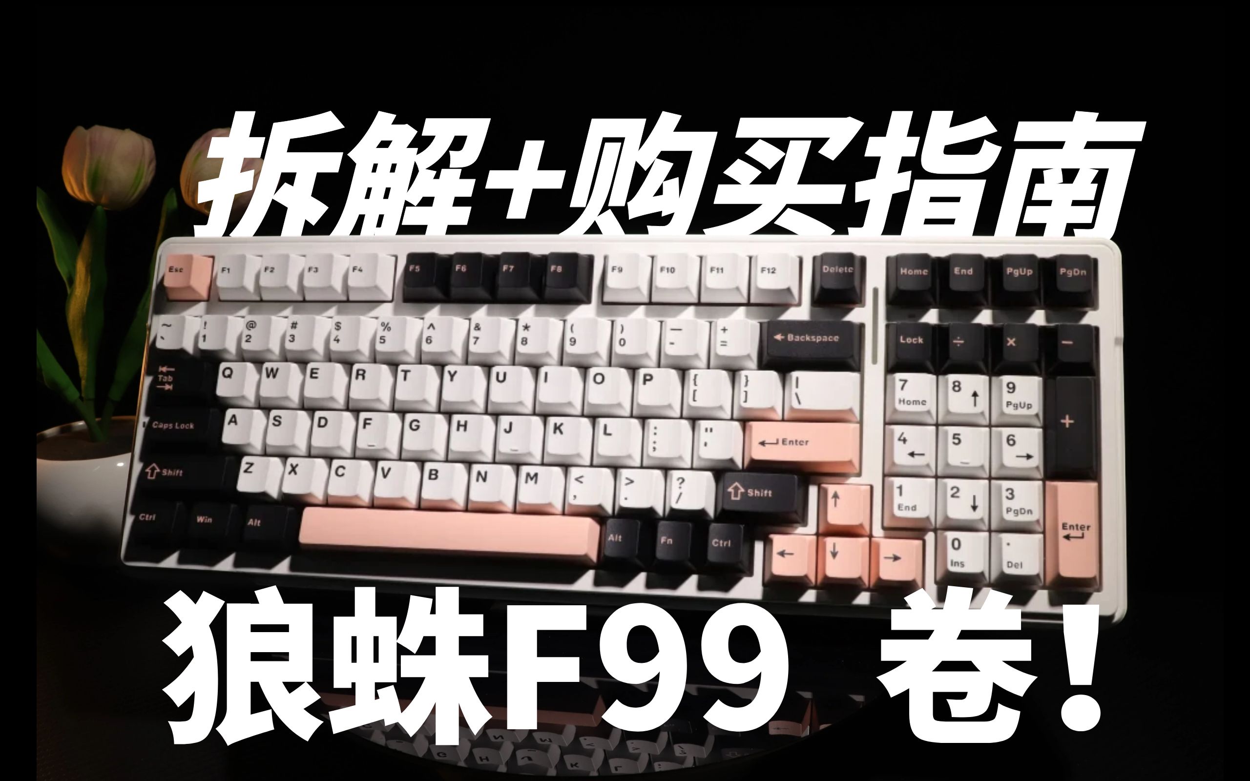狼蛛F99 | 七天使用报告---价格卷到新低，品控稳如老狗