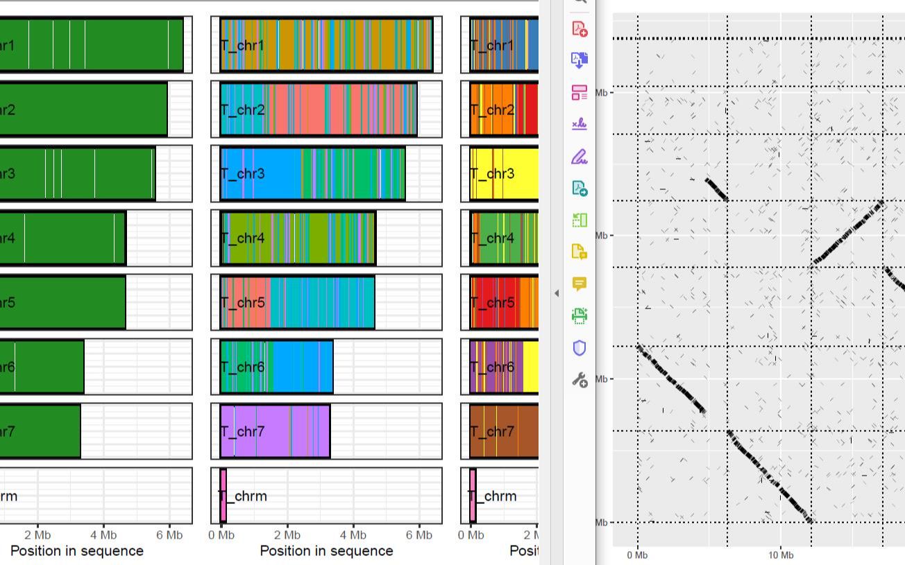minimap2比对结果 | Pafr包可视化_哔哩哔哩_bilibili