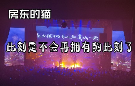 20220904【房东的猫】此刻是不会再拥有的此刻了-“关于彻夜不眠的事情”珠海站_哔哩哔哩_bilibili