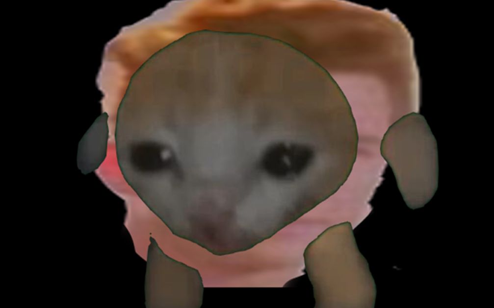 The Rick Astley Cat_哔哩哔哩_bilibili