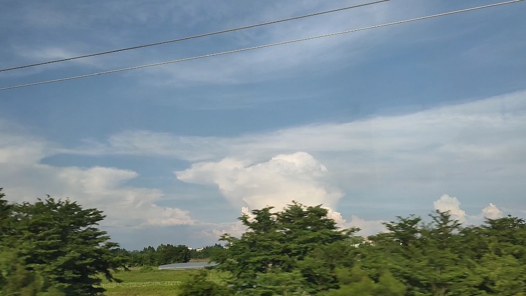 Not Today D8414_哔哩哔哩_bilibili