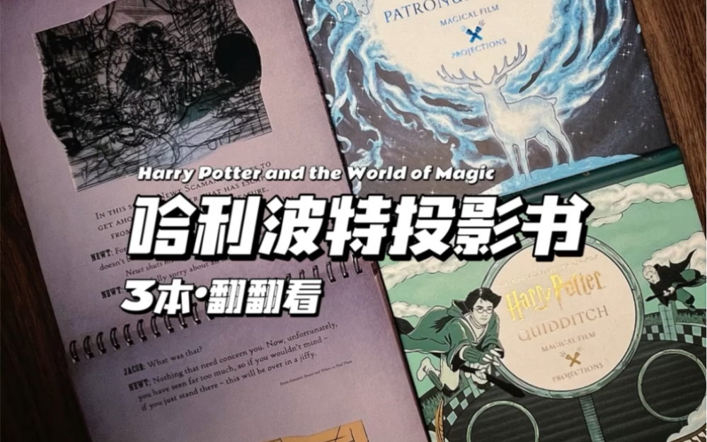 哈利波特投影书翻翻看-魔药女巫yuki-魔药女巫yuki-哔哩哔哩视频