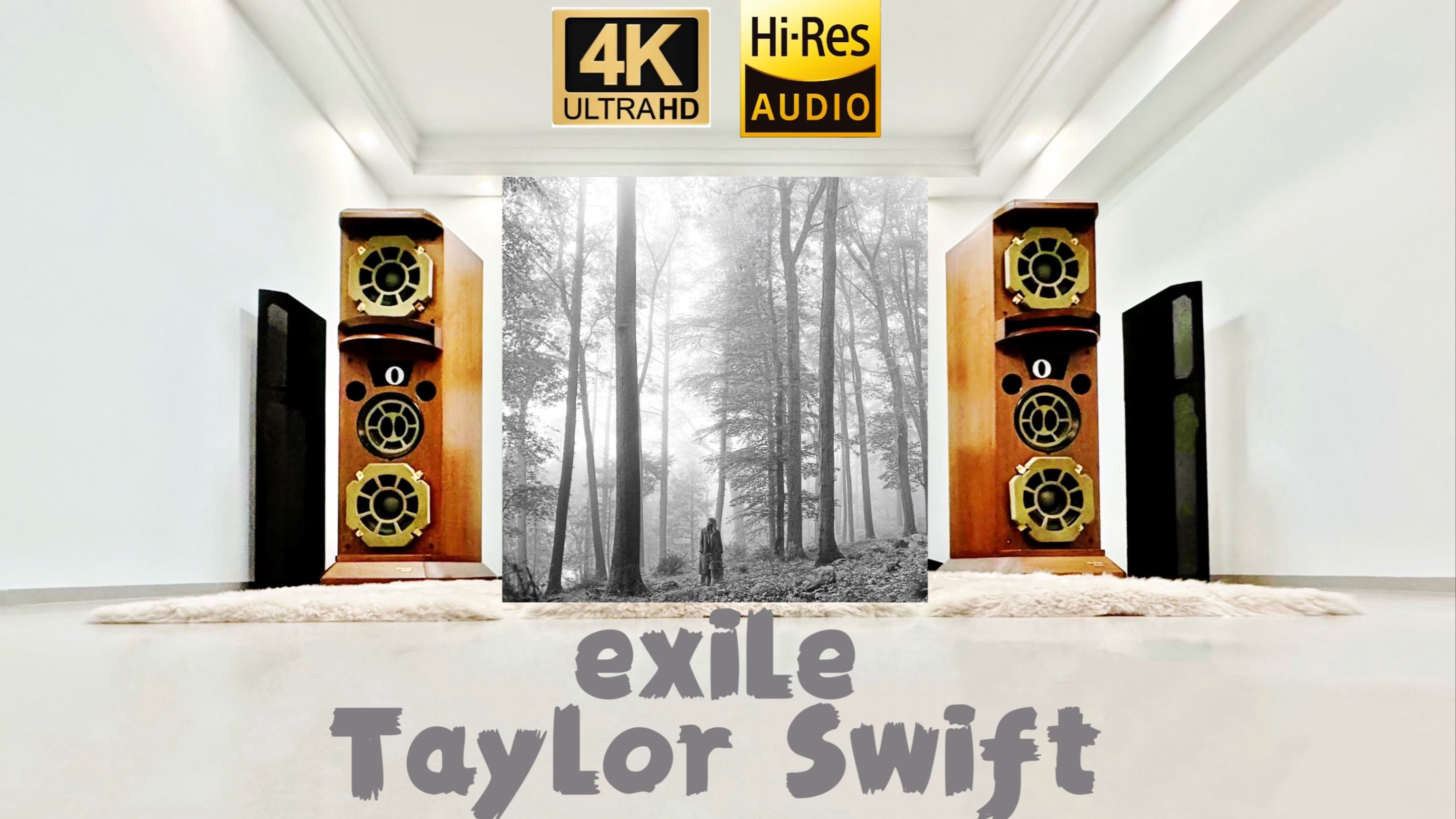 这绝对是你听过最贵、最好的《exile》-Taylor Swift-毛绒拖把-声与乐-哔哩哔哩视频