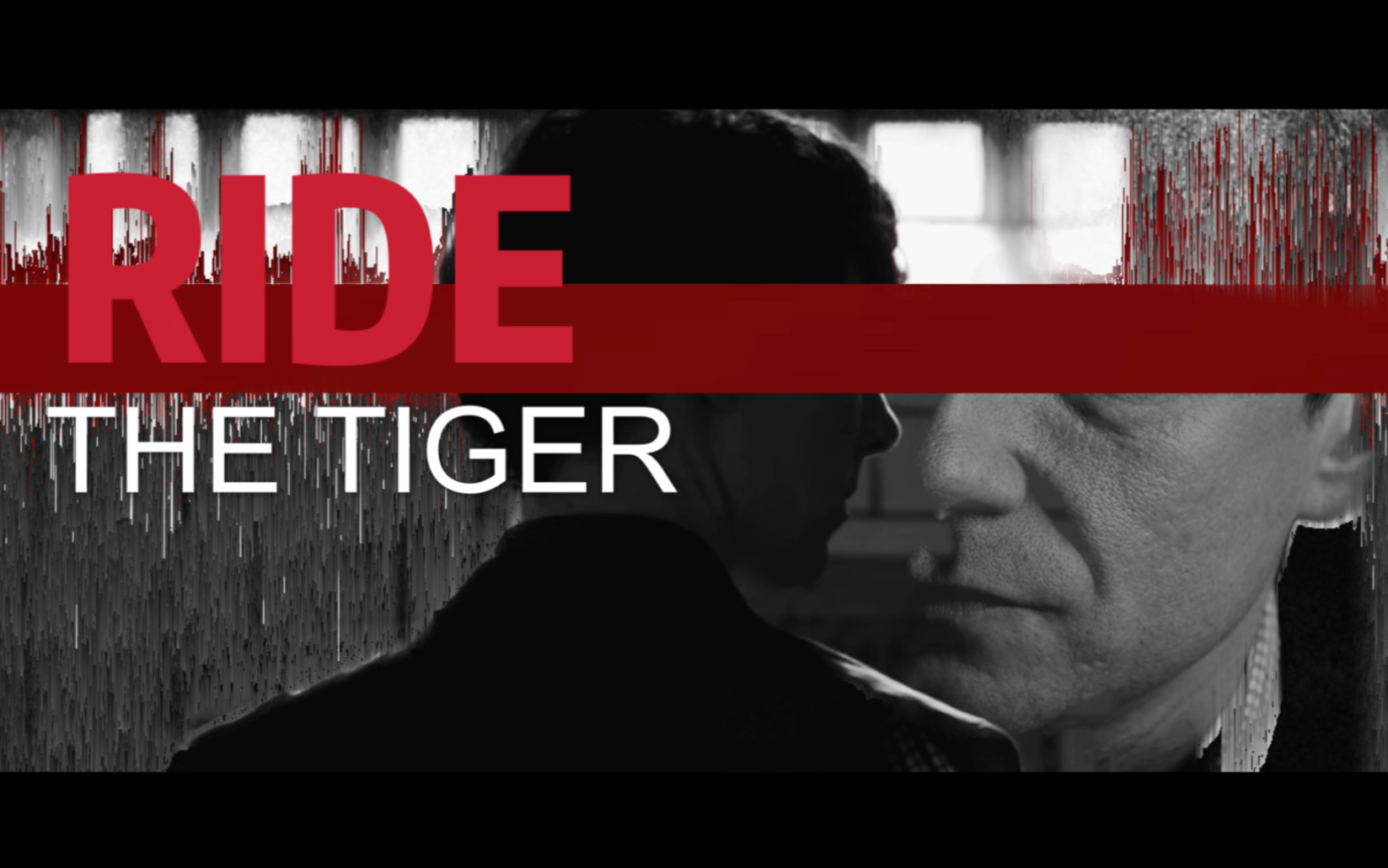 【福华】Ride The Tiger 骑虎难下【警匪AU｜OOC｜车】_哔哩哔哩_bilibili