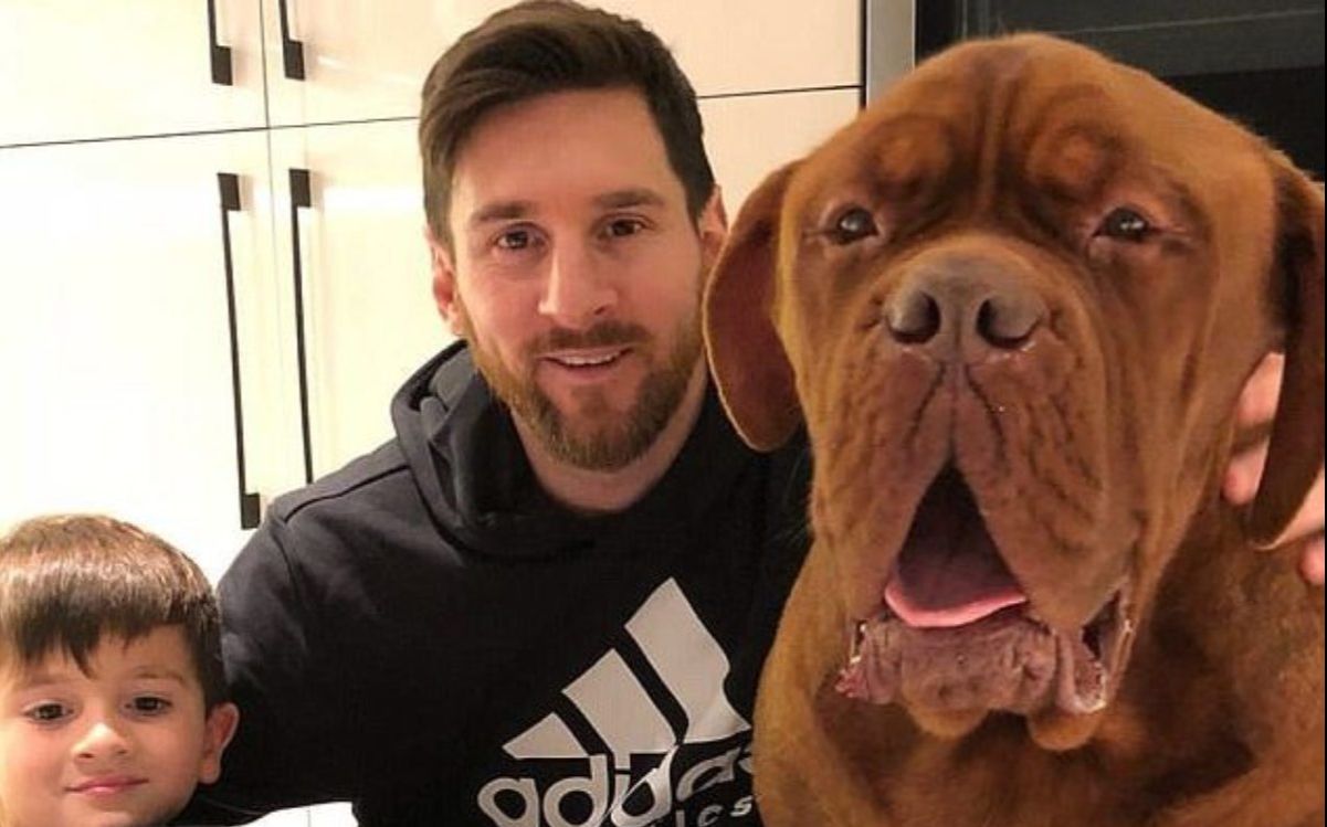 足坛大佬和他们的爱犬，梅西家的狗可以拿来练举重了！_哔哩哔哩_bilibili