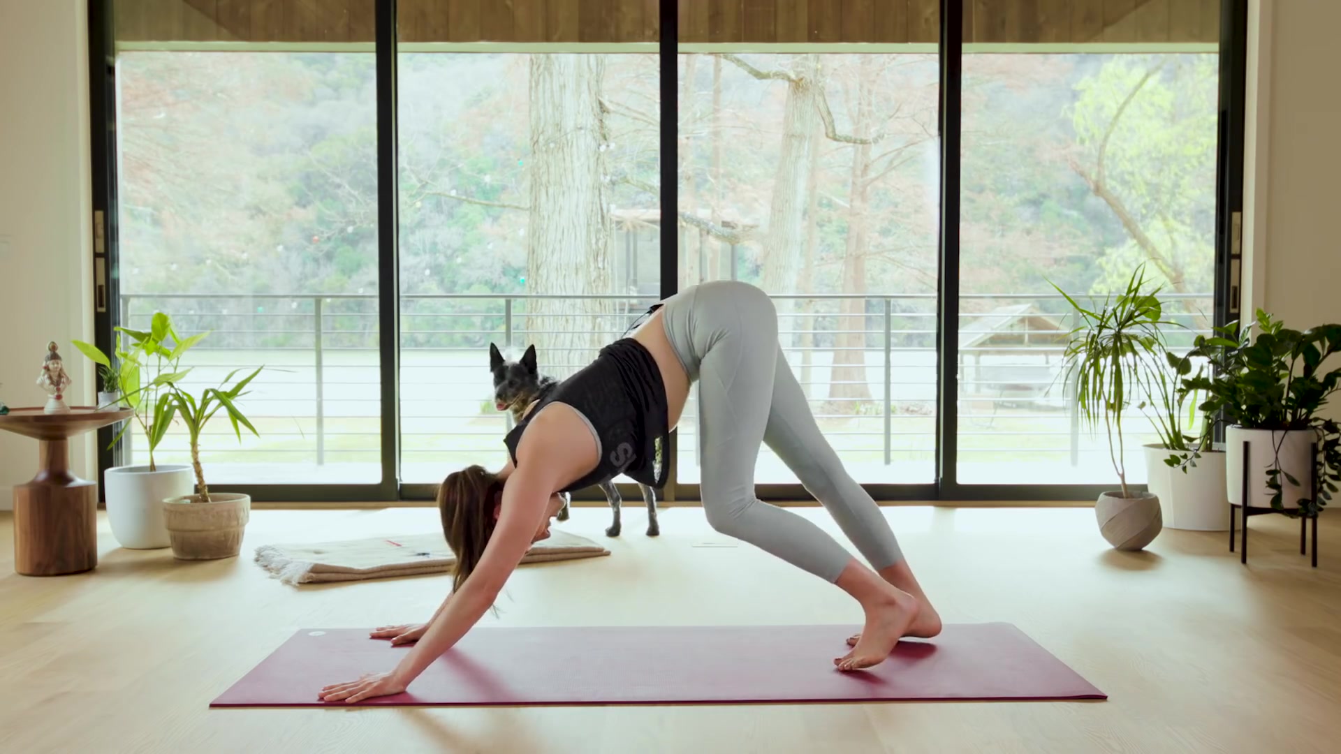 Dedicate - Day 13 - Space Yoga With Adriene_哔哩哔哩_bilibili