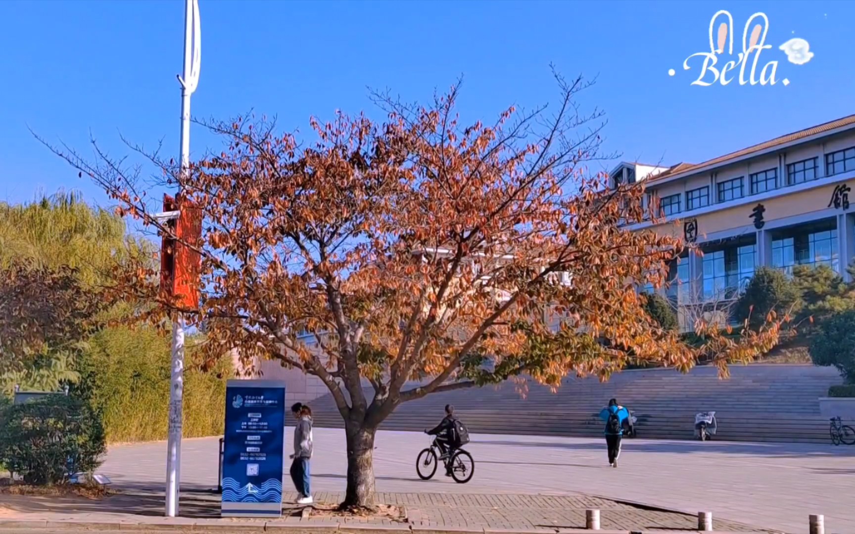 新年快乐 -Bella--K-Bella--K-哔哩哔哩视频