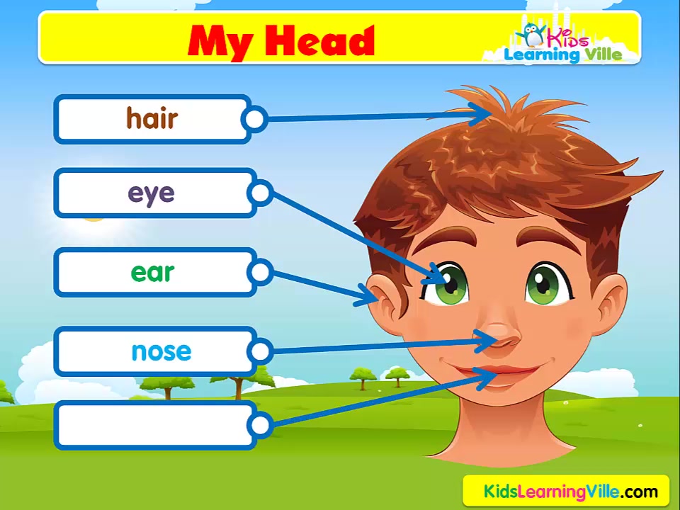 【宝宝学英语】parts of your body 从认识自己的身体部位开始_哔哩哔哩 (゜-゜)つロ 干杯~-bilibili