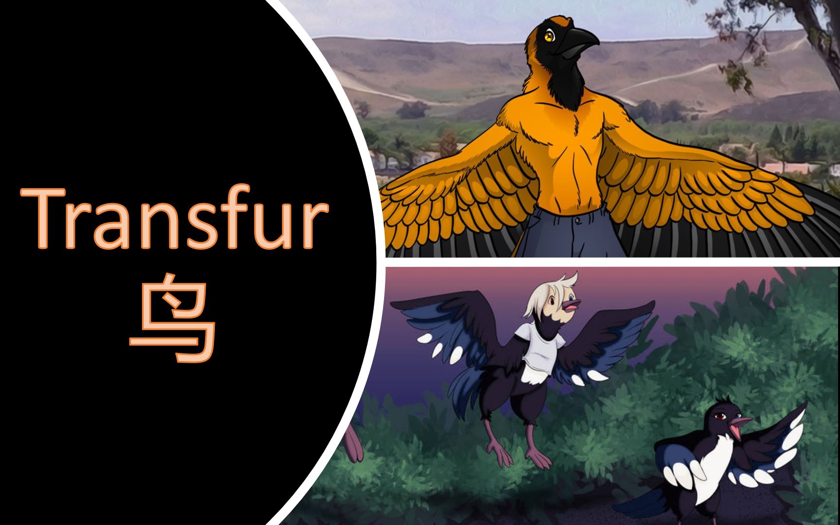 Transfur~~鸟