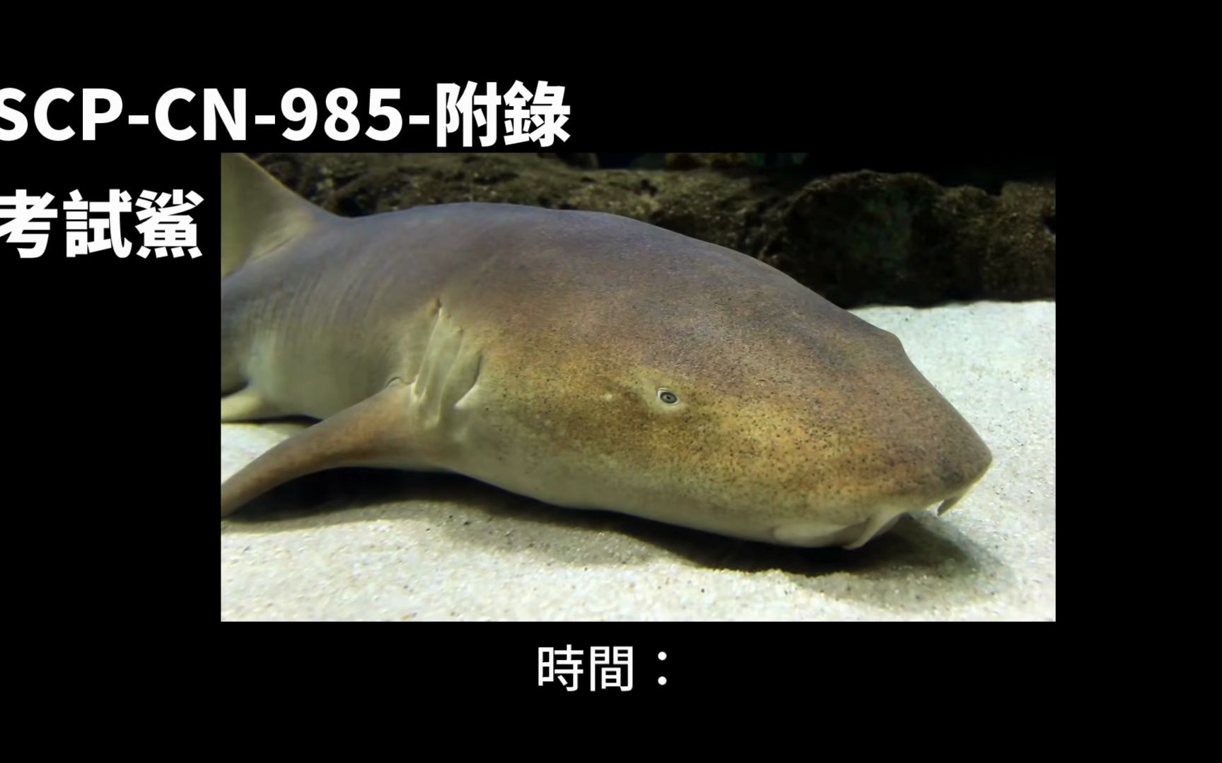 SCP-CN-985 - 考试鲨 (附录)-某不存在的配音团-某不存在的配音团-哔哩哔哩视频