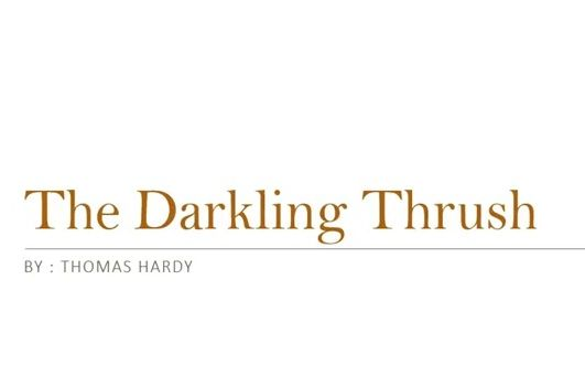 Sparknotes The Darkling Thrush
