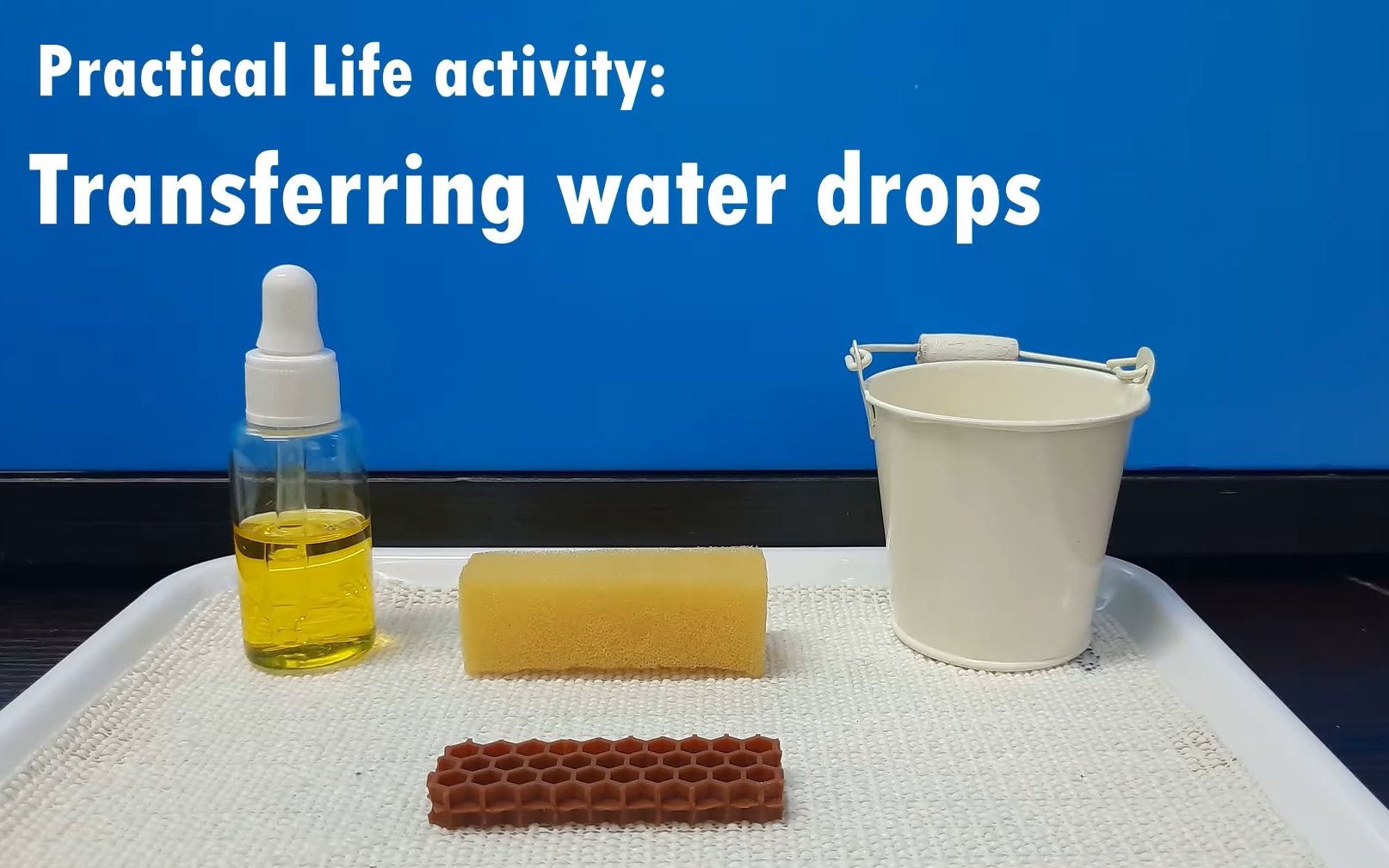 [Easy Montessori] Practical life activity: Transferring water drops_哔哩哔 ...