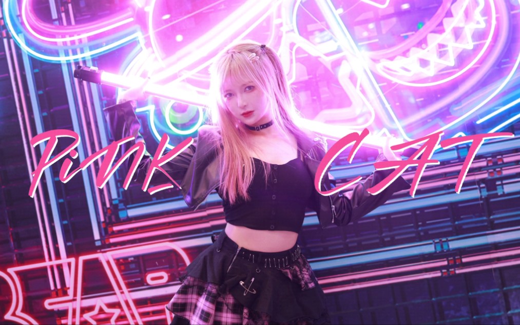 2022年跳PiNK CAT还有人看吗？你关注的绘画up更新了！【罐头】_哔哩哔哩_bilibili