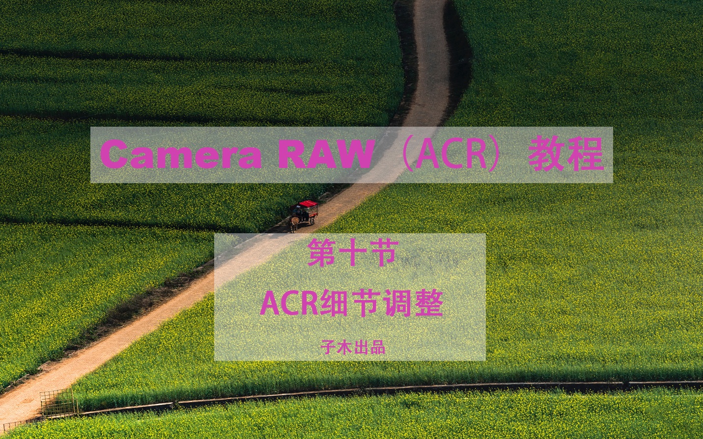 Camera Raw(ACR)教程——ACR细节调整_哔哩哔哩_bilibili