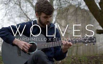 【指弹吉他】Wolves - Marshmello, Selena Gomez【Janis Mathieu】_哔哩哔哩 (゜-゜)つロ 干杯 ...