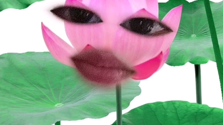 Jfjjfjfj_哔哩哔哩_bilibili