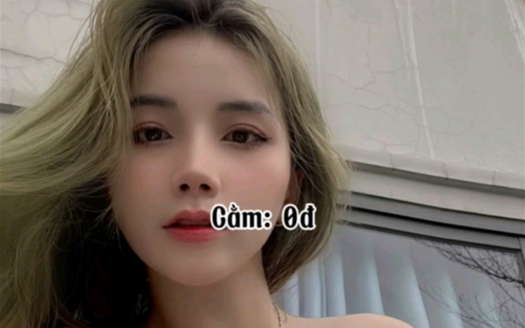 这周又没分 了555555555555_哔哩哔哩_bilibili