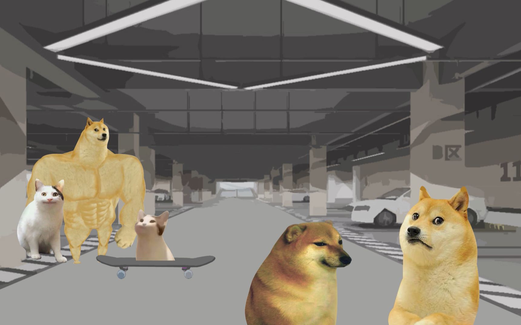 CHEEMS 出 风 头-CHeems的日常-CHeems的日常-哔哩哔哩视频