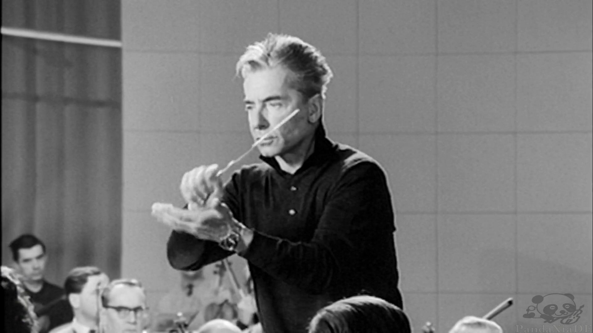 【高清】卡拉扬的肖像 纪录片 Herbert von Karajan - Die Schönheit, wie ich sie sehe_哔哩 ...