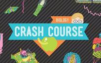 【搬运】 B站Crash Course课程在这，天天学习十分钟！ - 哔哩哔哩